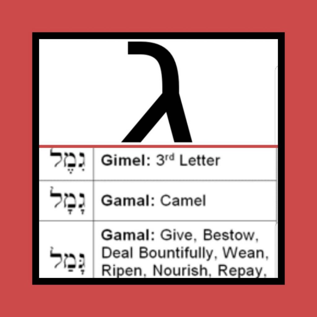 Study #2: GIMEL - Asian Beacon